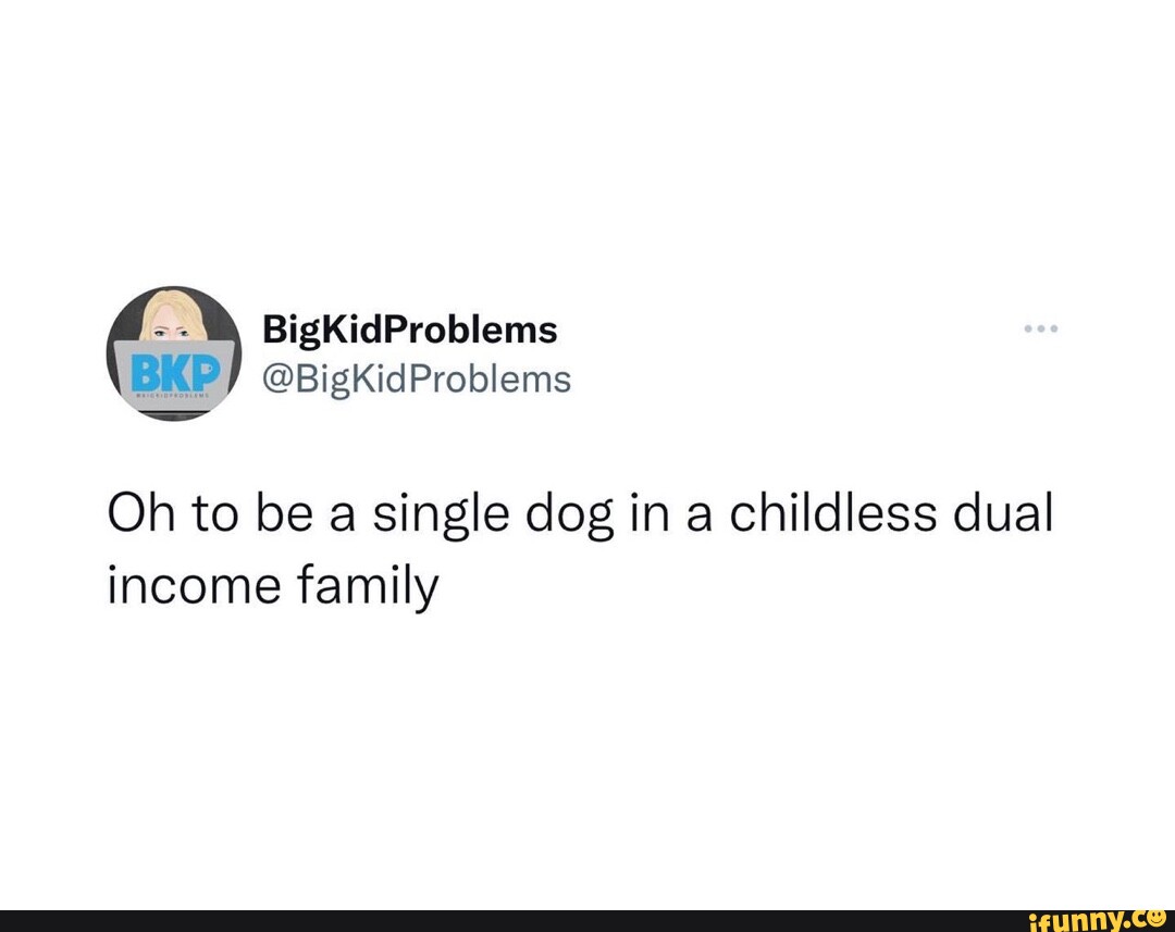 BigKidProblems BP) @BigkidProblems Oh to be a single dog in a childless ...