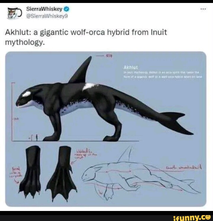 SierraWhiskey Akhlut: a gigantic wolf-orca hybrid from Inuit mythology. - iFunny