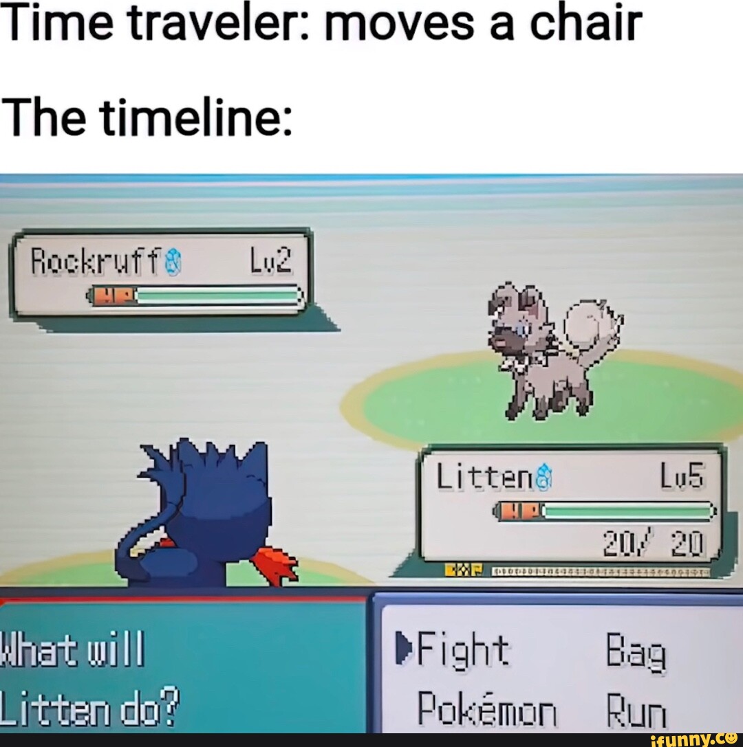 Litten memes. Best Collection of funny Litten pictures on iFunny