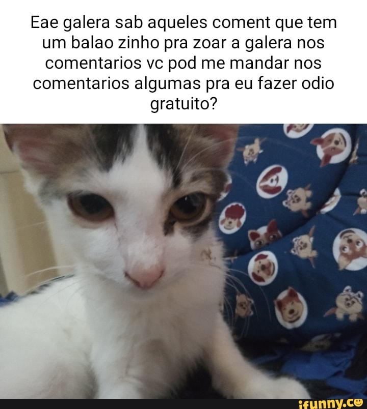 Balao memes. Best Collection of funny Balao pictures on iFunny Brazil