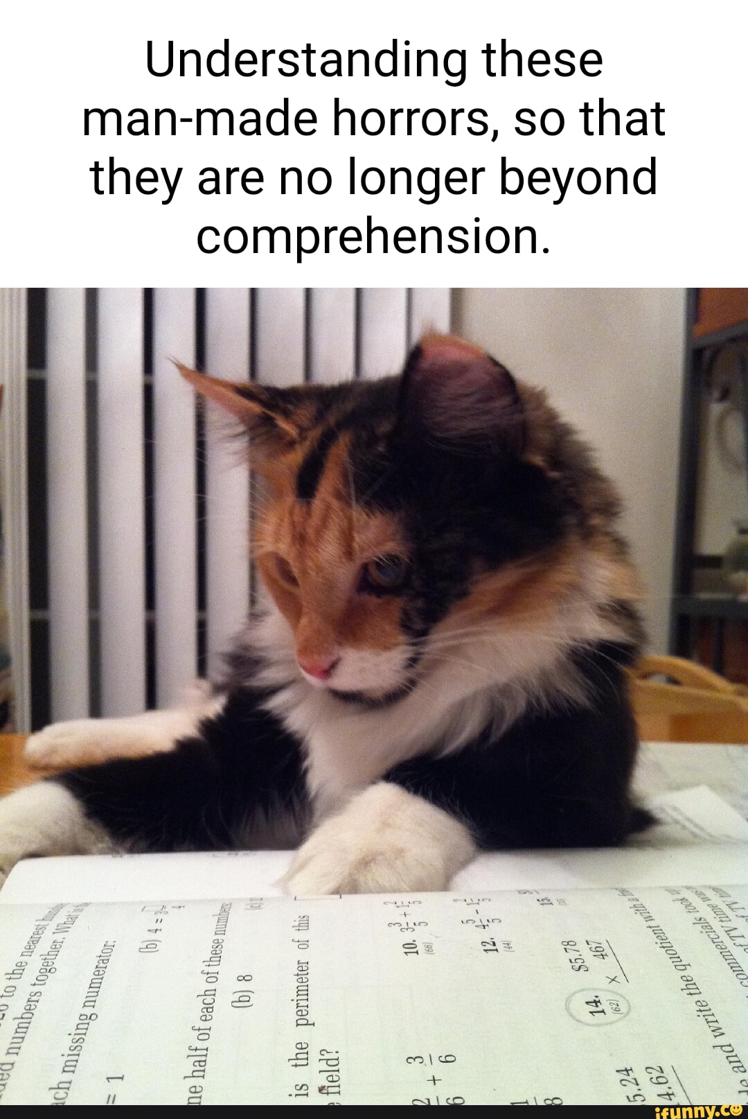 Understanding these man-made horrors, so that they are no longer beyond ...