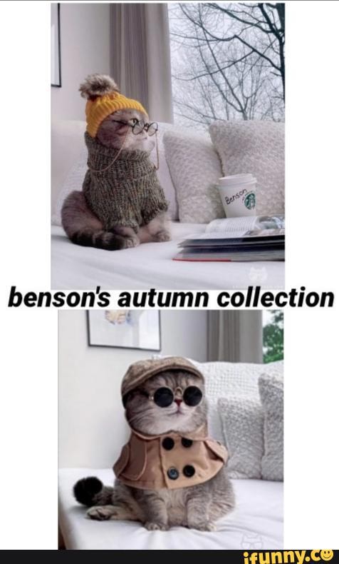 Benson's autumn collection - iFunny