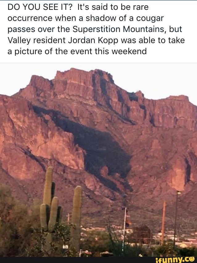 DO YOU SEE IT? It's said to be rare occurrence when a shadow of a ...