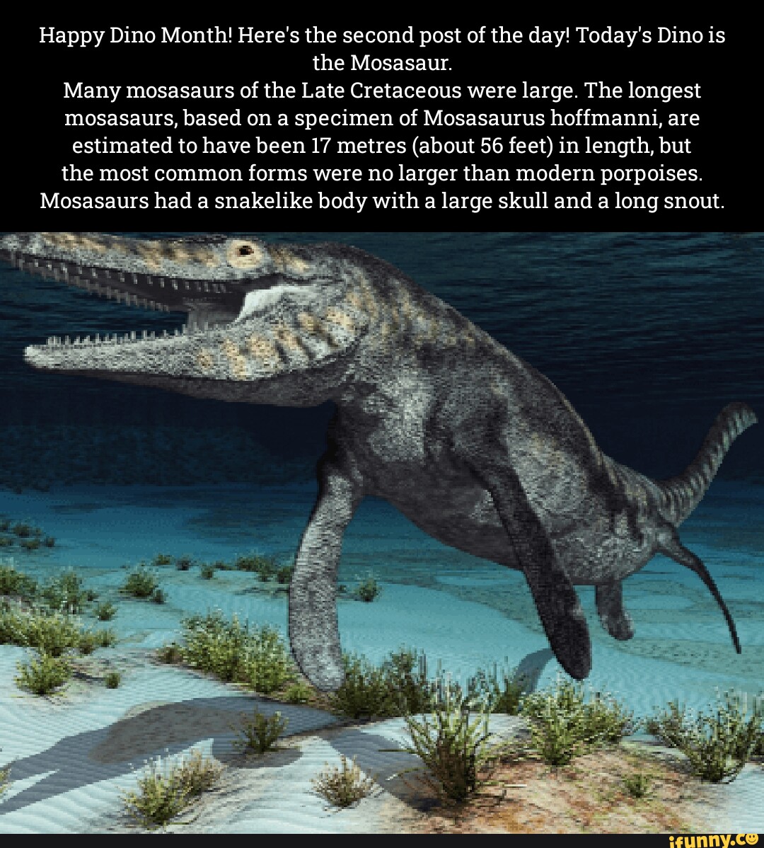 Mosasaurus memes. Best Collection of funny Mosasaurus pictures on iFunny