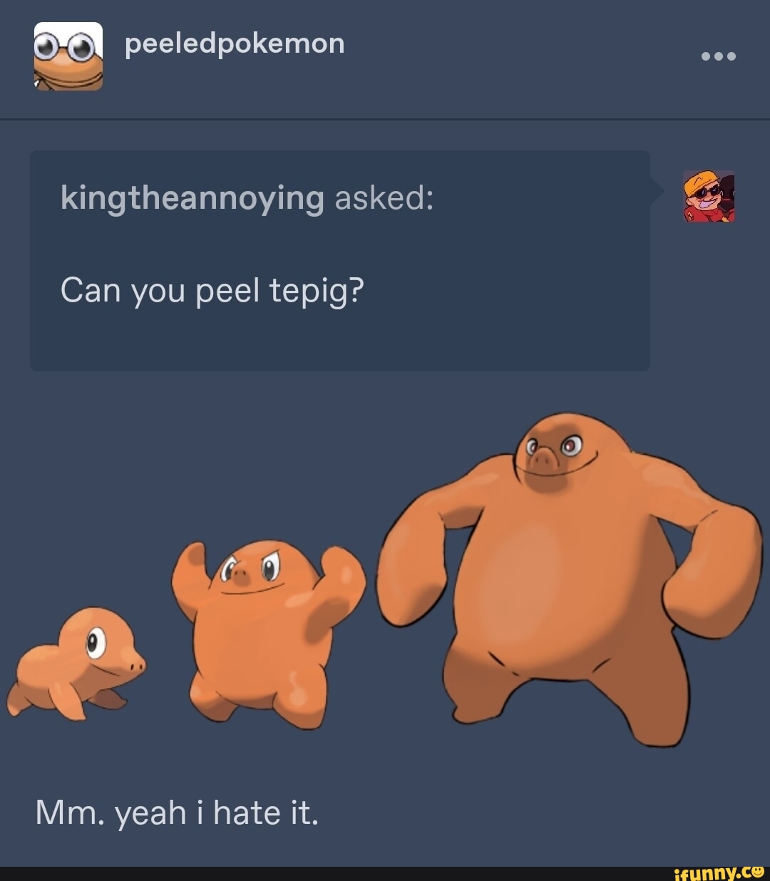 Tepig Memes