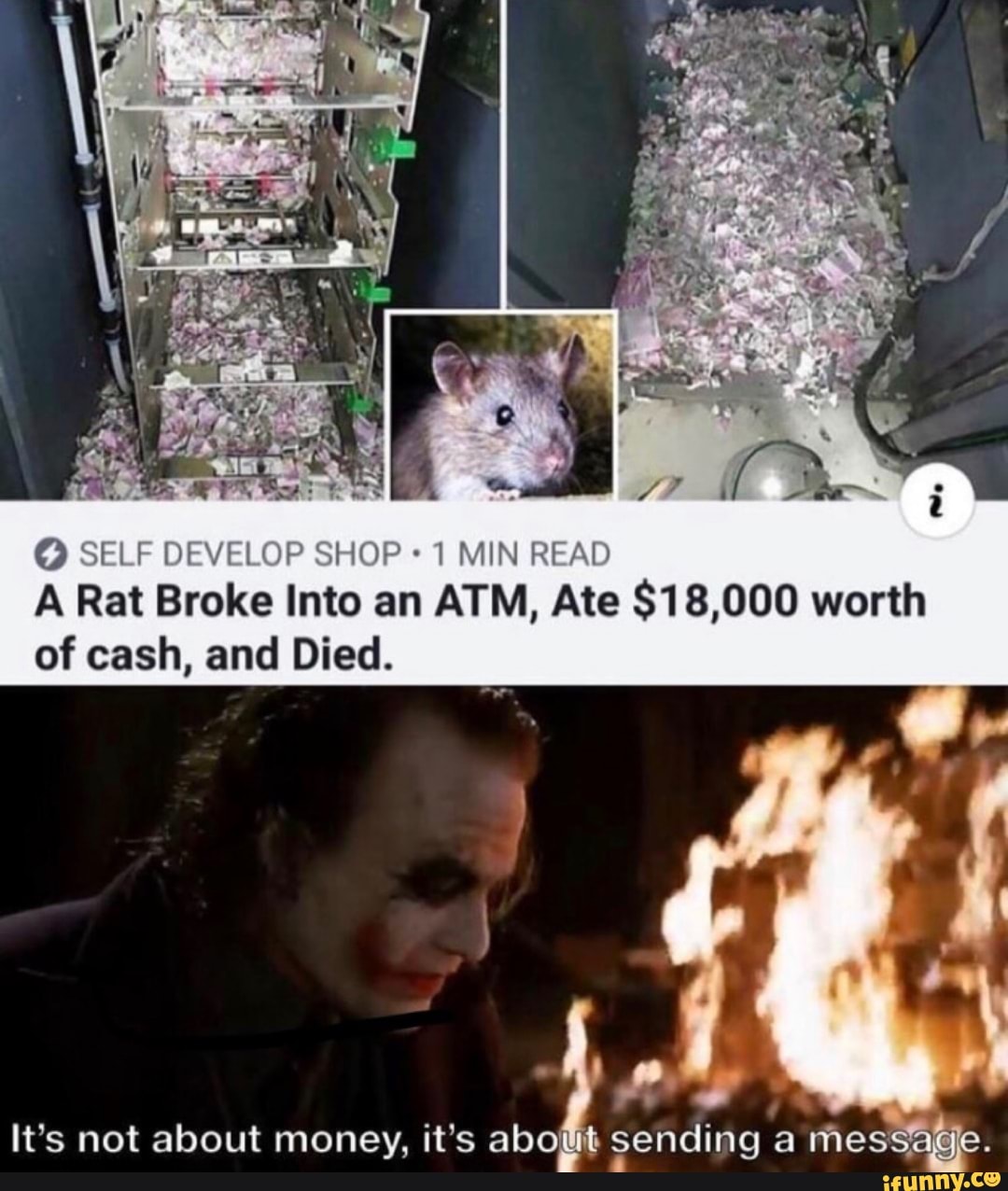 @ SELF DEVELOP SHOP 1 MIN READ A Rat Broke Into an ATM, Ate $18,000 ...