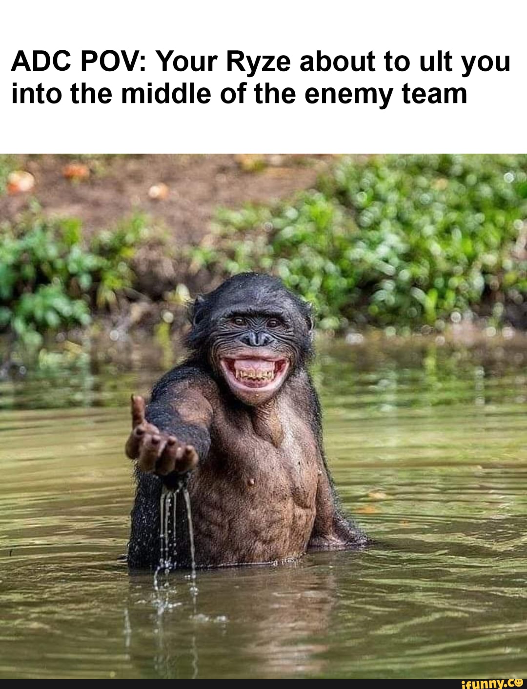 Ryze memes. Best Collection of funny Ryze pictures on iFunny