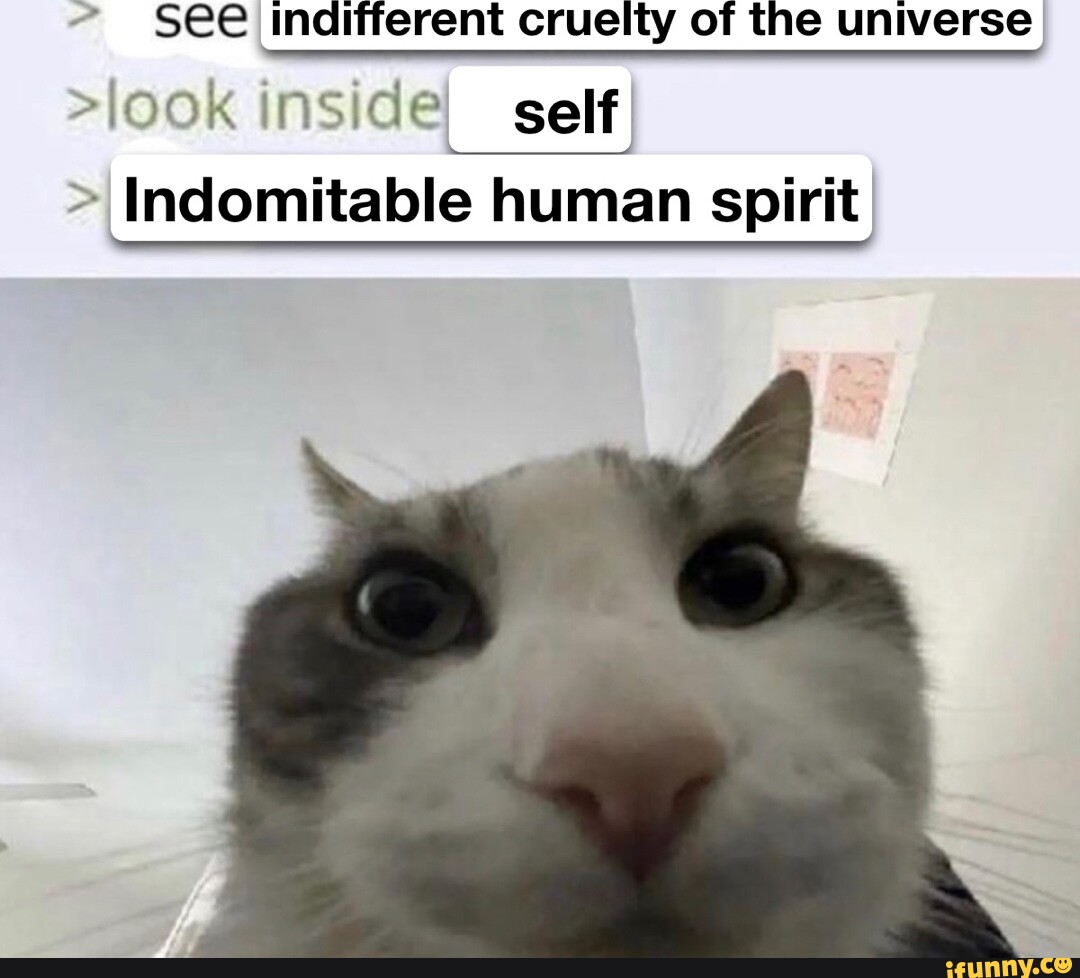 Video memes GnYHwsoSA by Bepis69 - iFunny