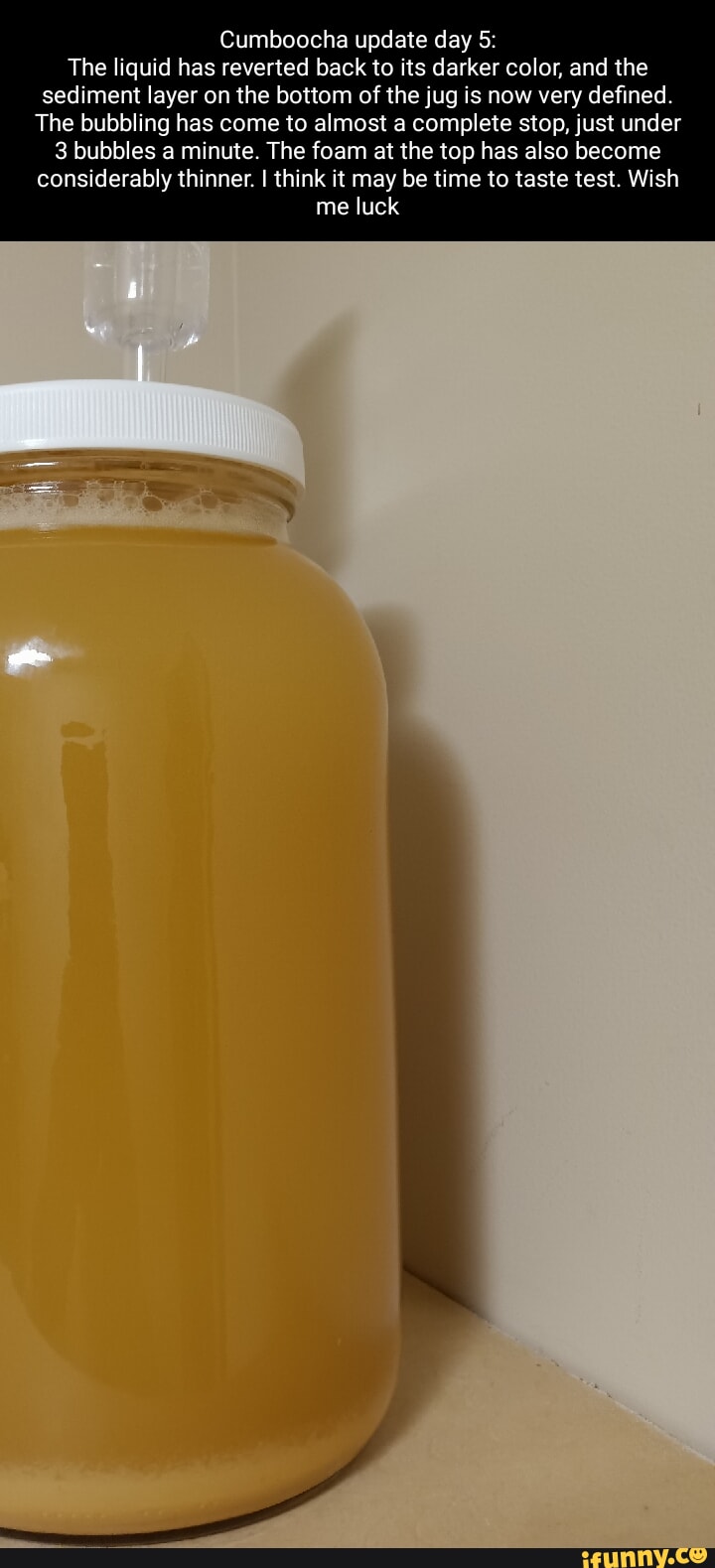 Sediment memes. Best Collection of funny Sediment pictures on iFunny