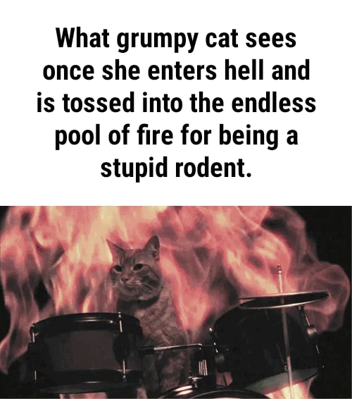 Grumpy Cat What The Hell