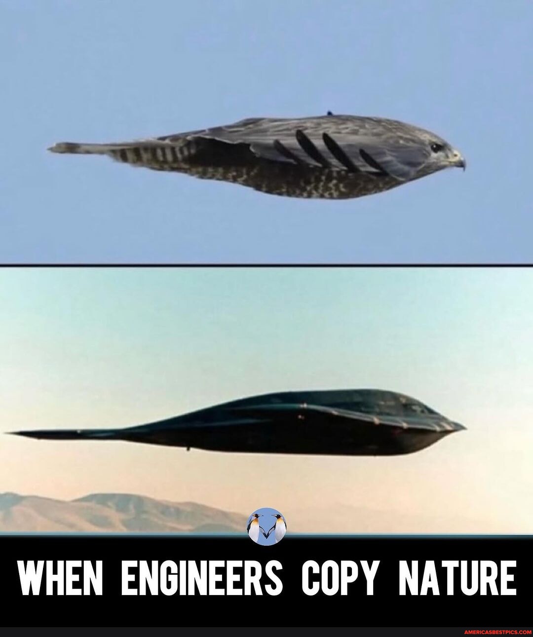 Inspired by the falcon’s aerodynamic shape, the Northrop Grumman B-2 ...