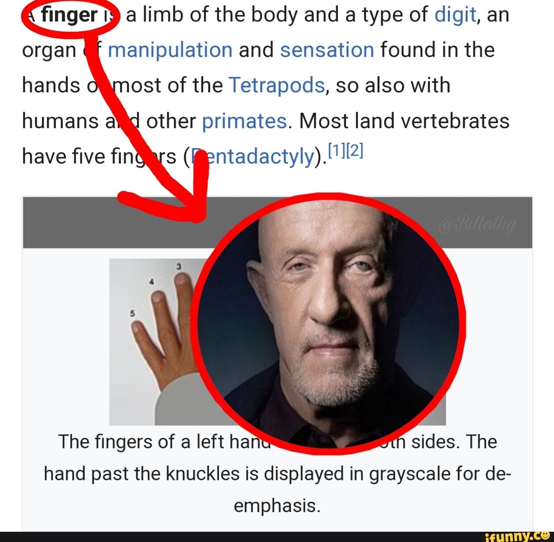 Tetrapods memes. Best Collection of funny Tetrapods pictures on iFunny