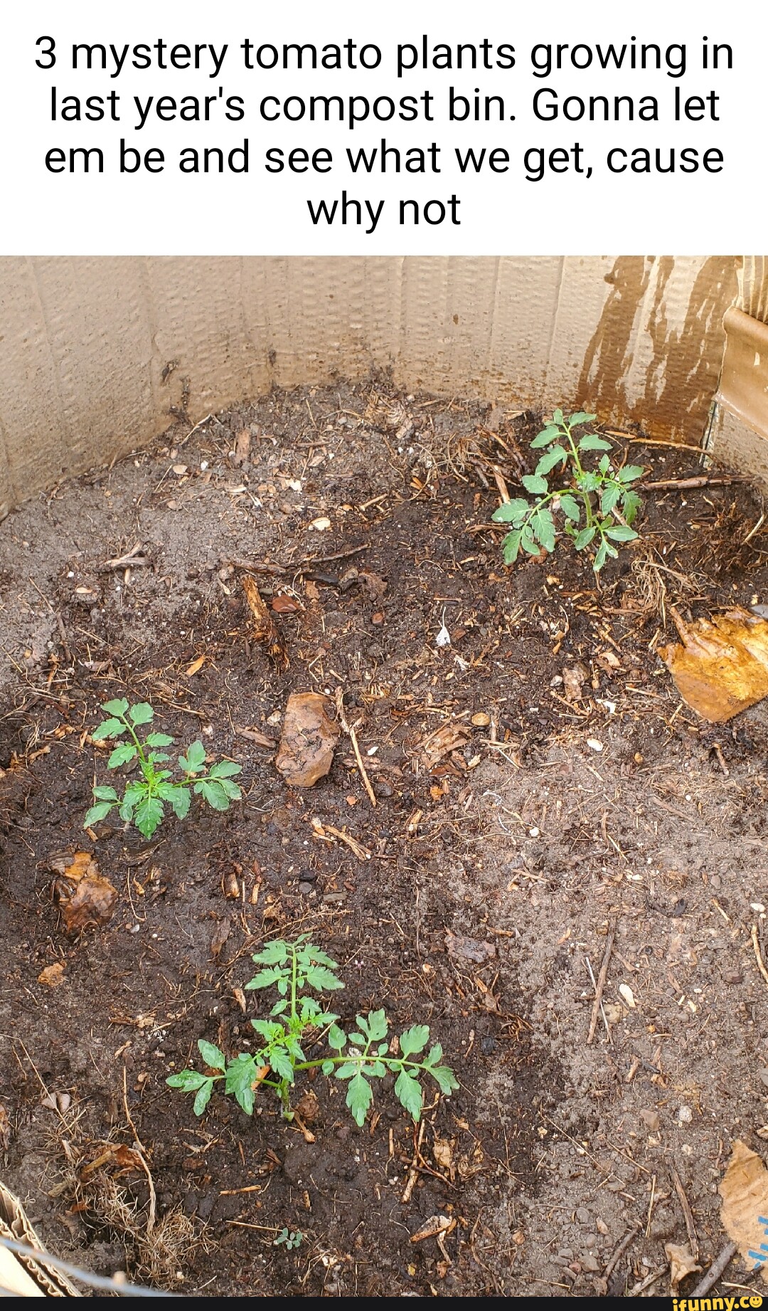 Compost memes. Best Collection of funny Compost pictures on iFunny