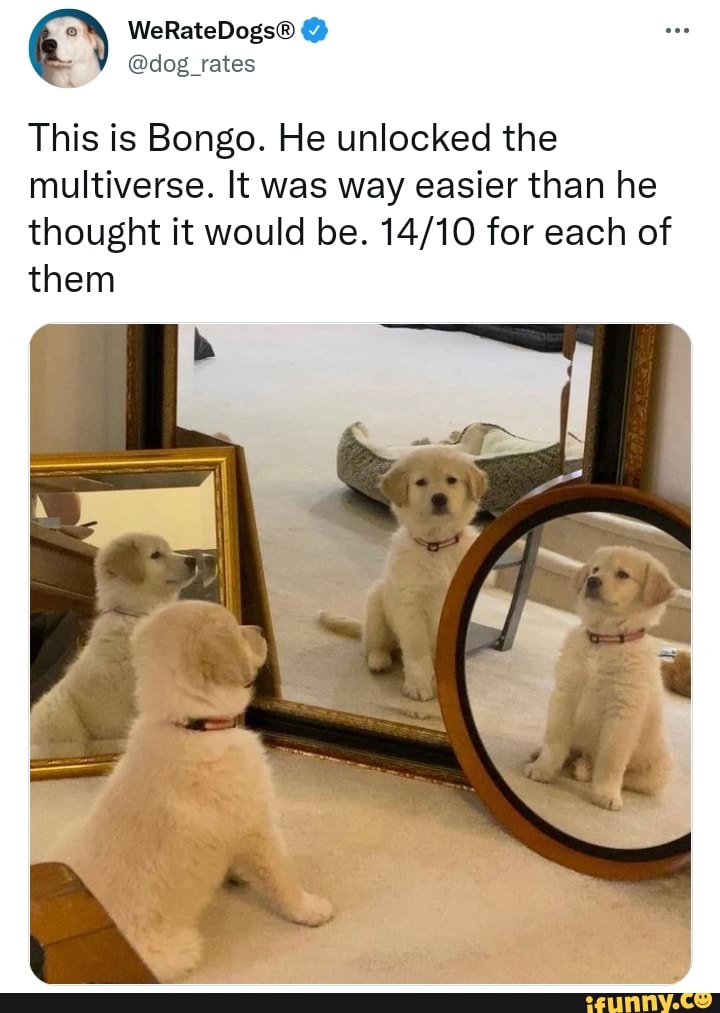 Maybe it was your laugh, Or your eyes, Or your smile. It could’ve been ...