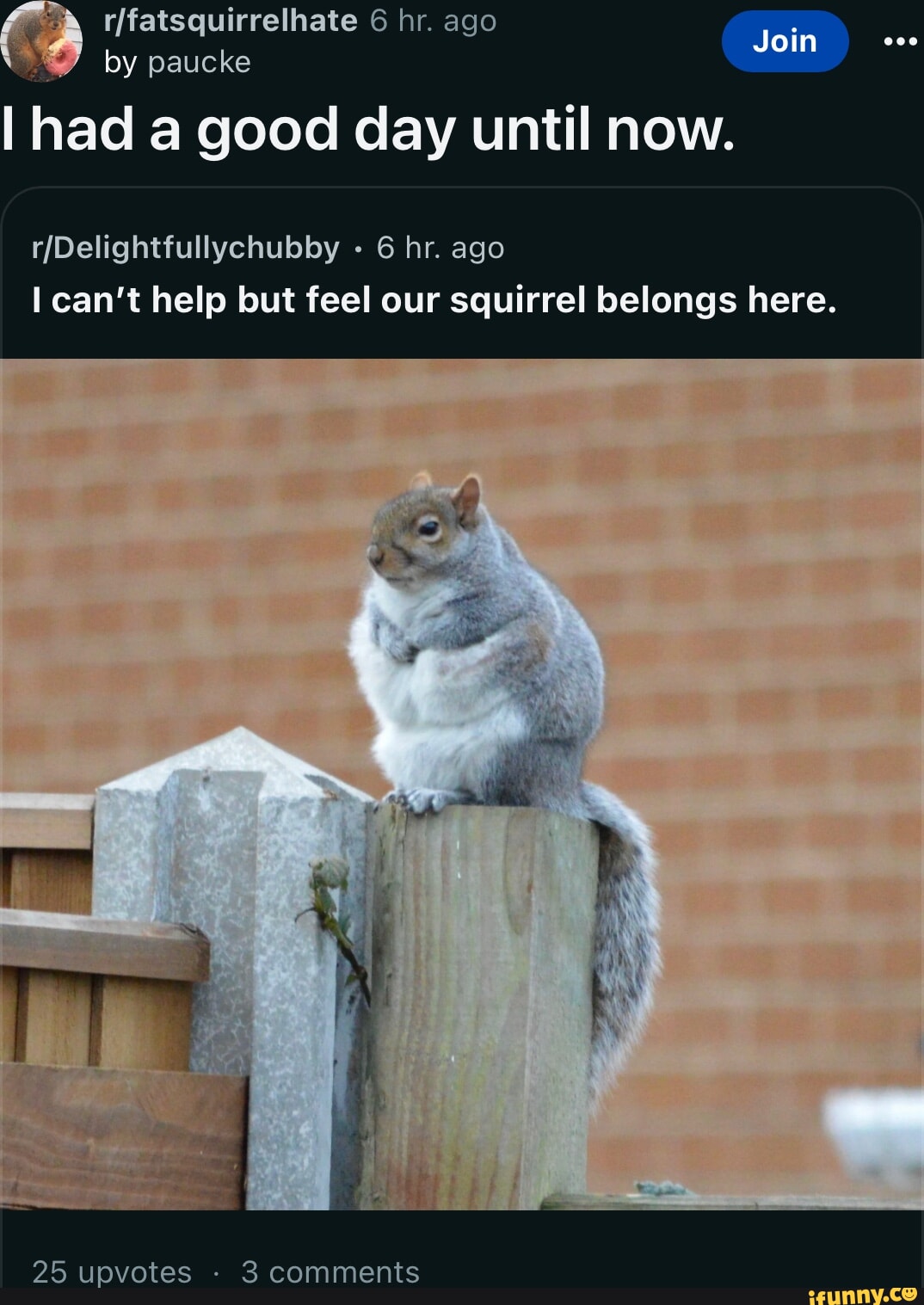 Video memes k6jMJHDp9 by Biollante: 278 comments - iFunny