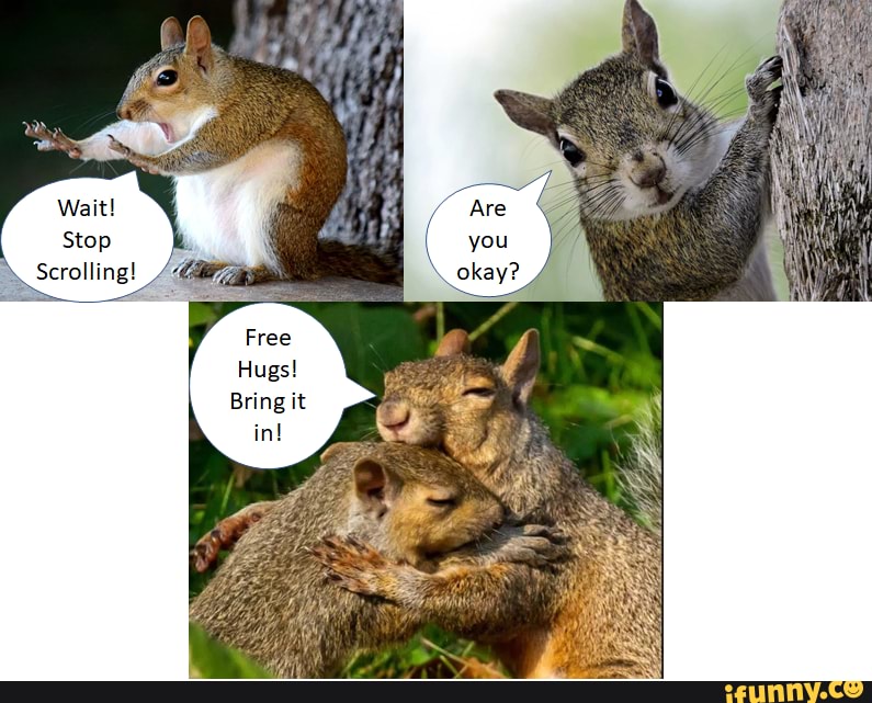 Wait! Stop Scrolling! Free Hugs! Bring it in! - iFunny