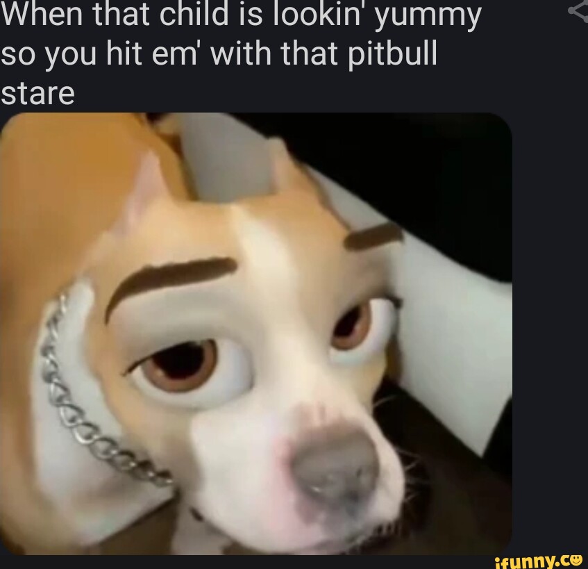 Pitbull memes. Best Collection of funny Pitbull pictures on iFunny