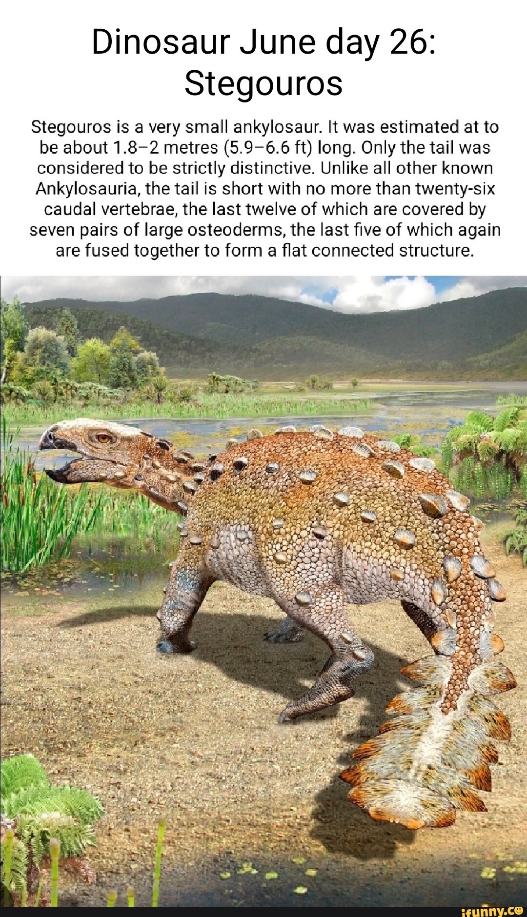 Dinosaur June day 26: Stegouros Stegouros is a very small ankylosaur ...