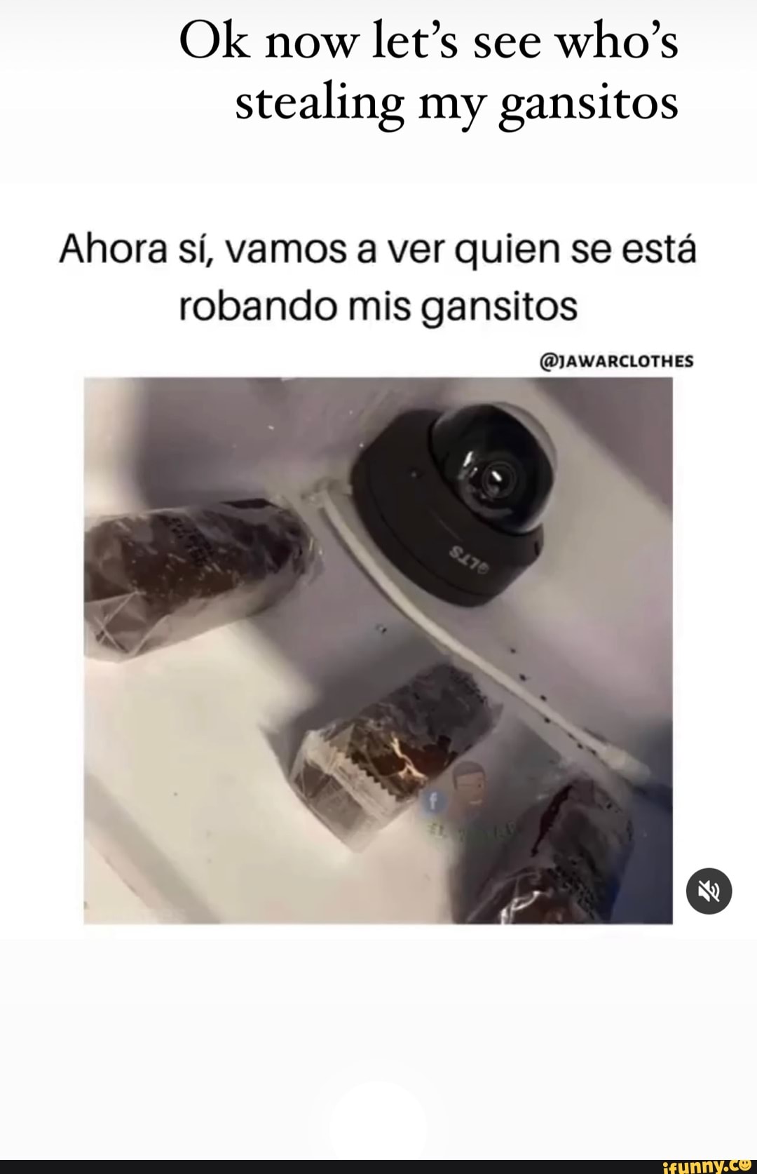 Gansitos memes. Best Collection of funny Gansitos pictures on iFunny
