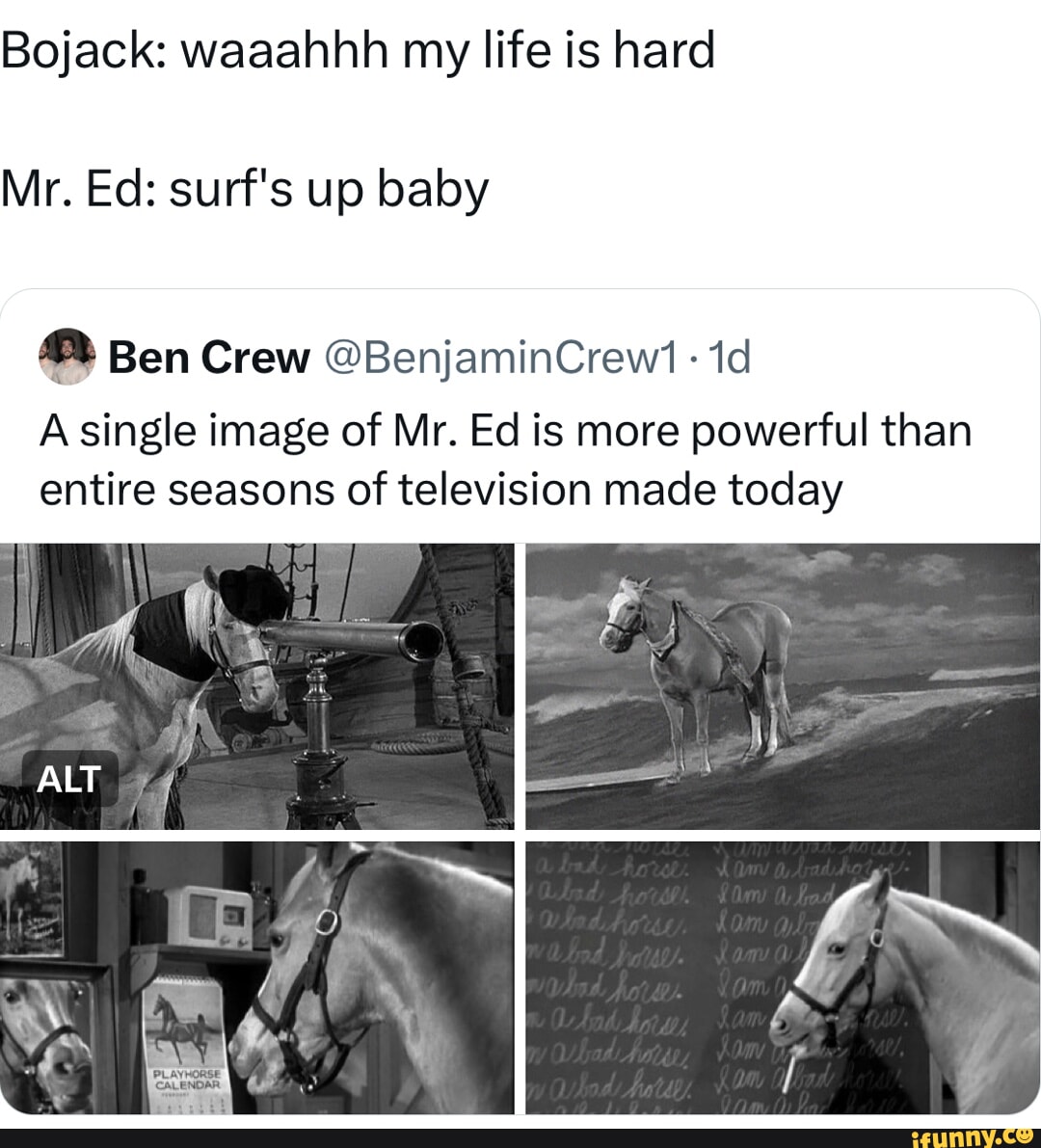 Bojack: waaahhh my life is hard Mr. Ed: surf's up baby Ben Crew ...