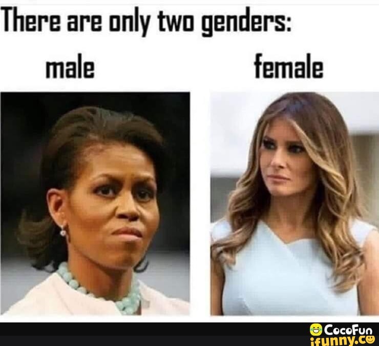 There are only two genders: male female - iFunny