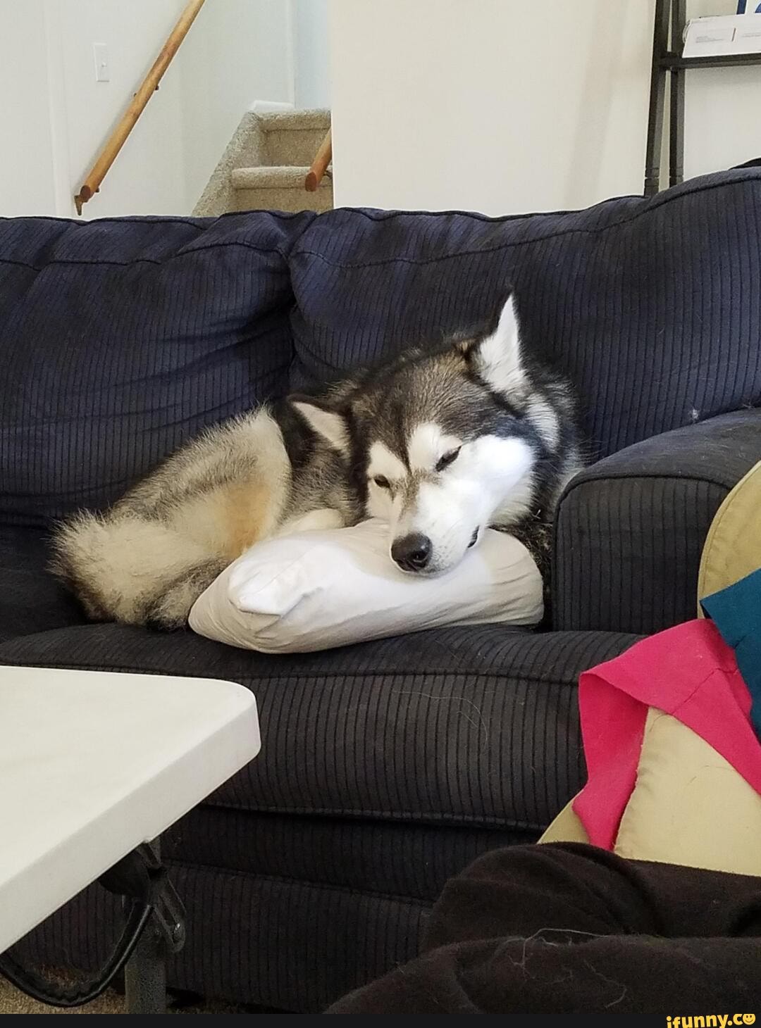 Treasure_planet memes. Best Collection of funny Treasure_planet ...