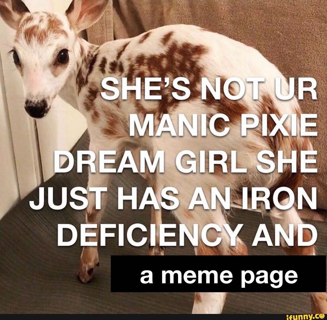 Pixie Girl Memes