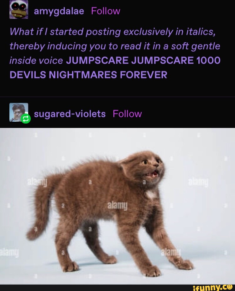 Italics memes. Best Collection of funny Italics pictures on iFunny