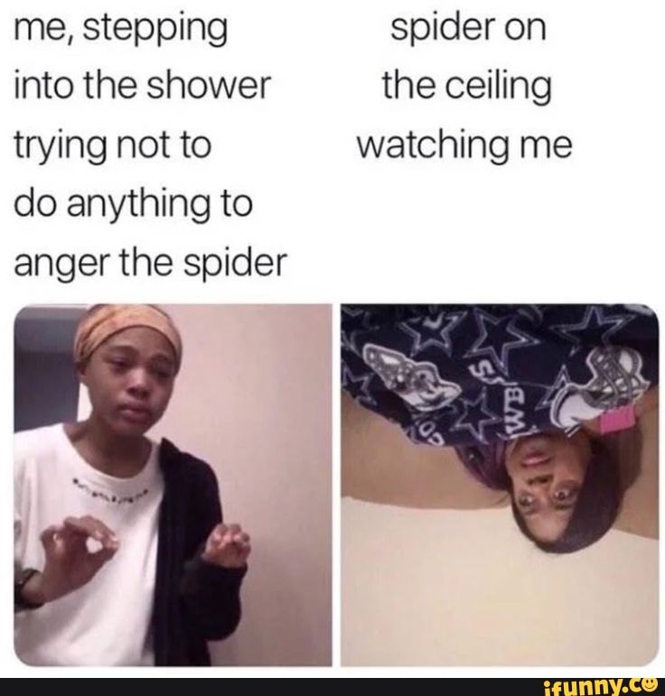 Me, stepping spider on into the shower the ceiling trying not to ...