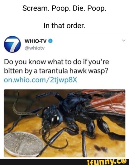 Scream. Poop. Die. Poop. In that order. Do you know what to do if you ...