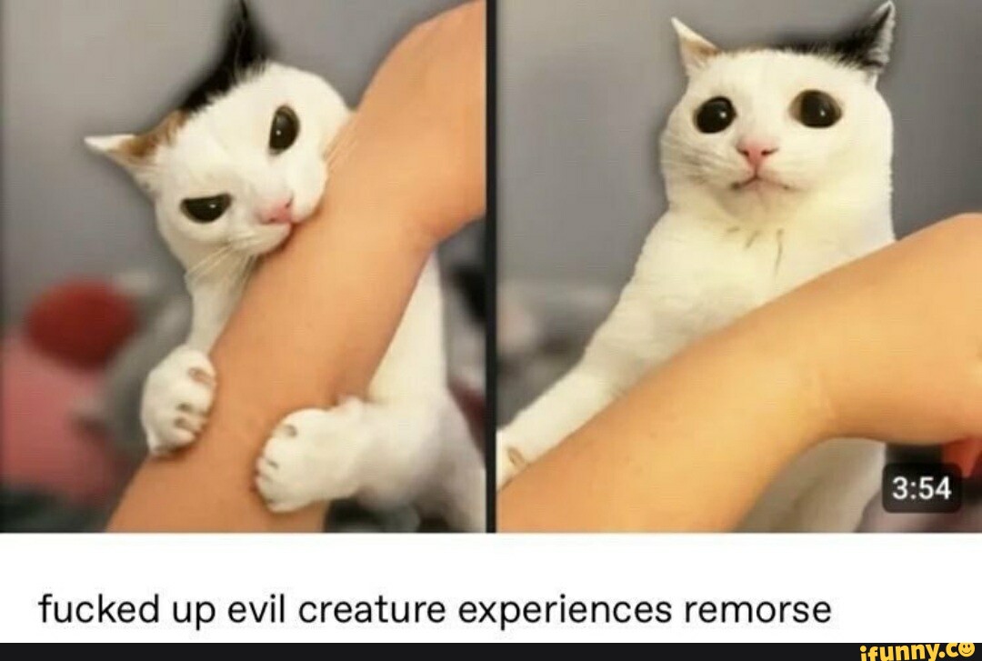 Video memes 38KUthOgA by Kronk: 4 comments - iFunny