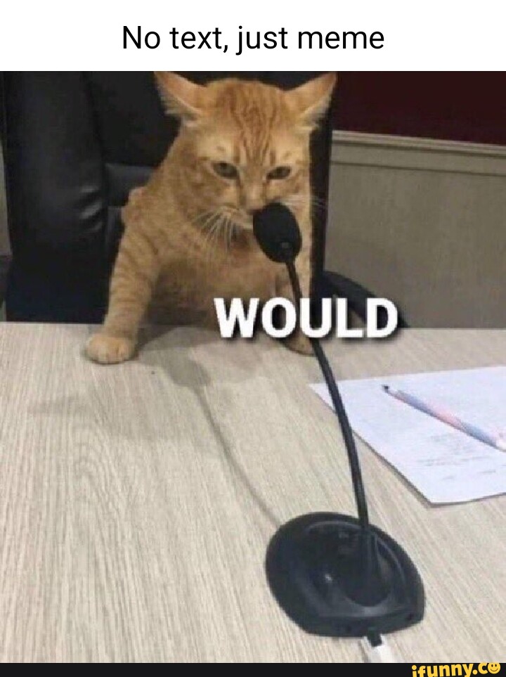 No text, just meme WOULD - iFunny