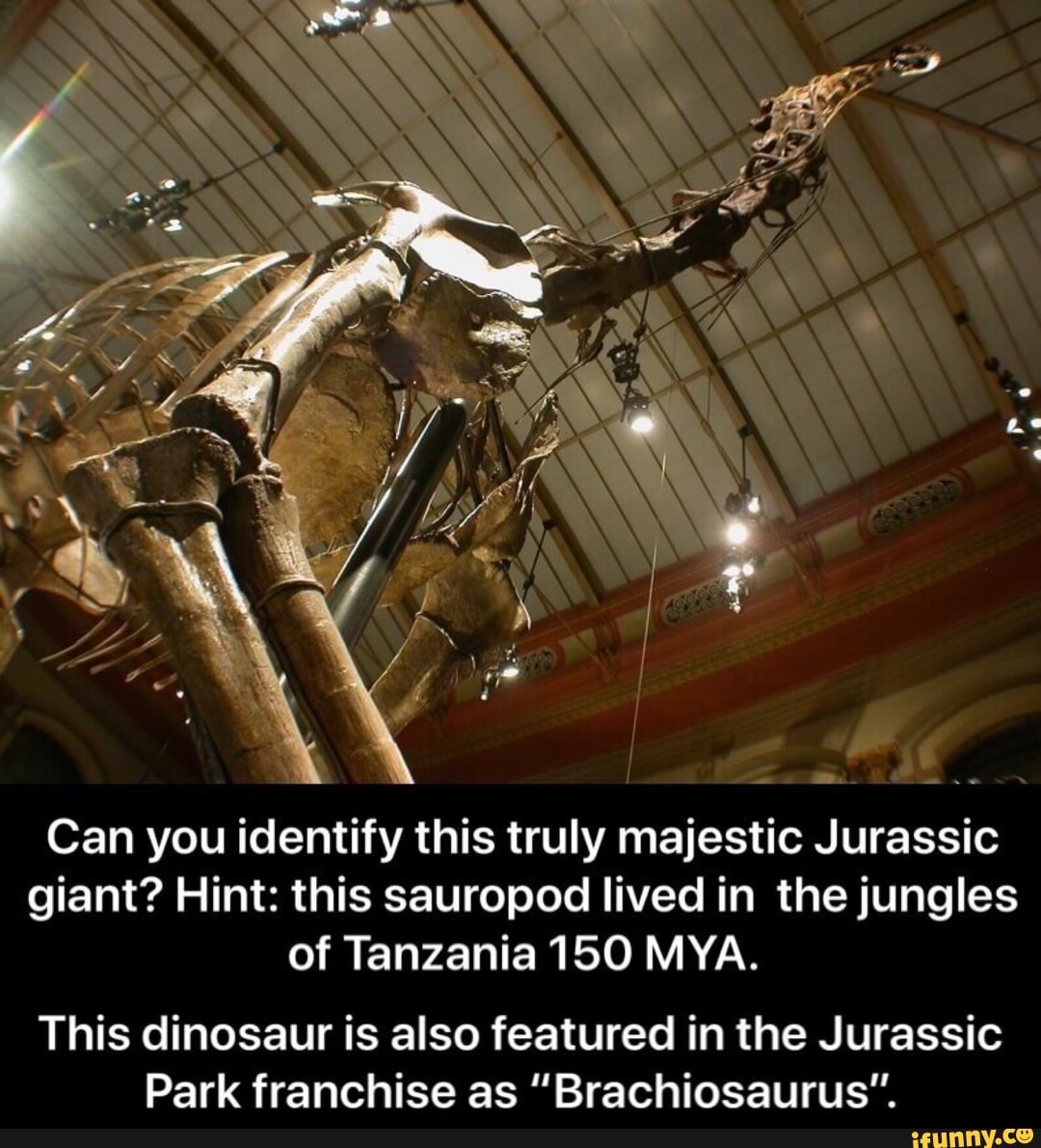 Can you identify this truly majestic Jurassic giant? Hint: this ...