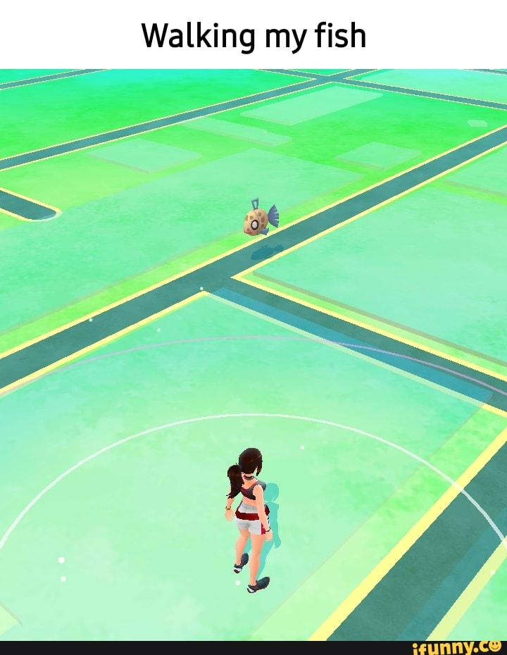 Feebas memes. Best Collection of funny Feebas pictures on iFunny