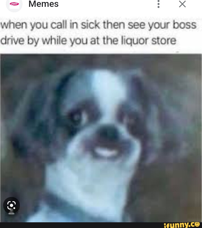 Memes when you call in sick then see your boss drive by while you at ...