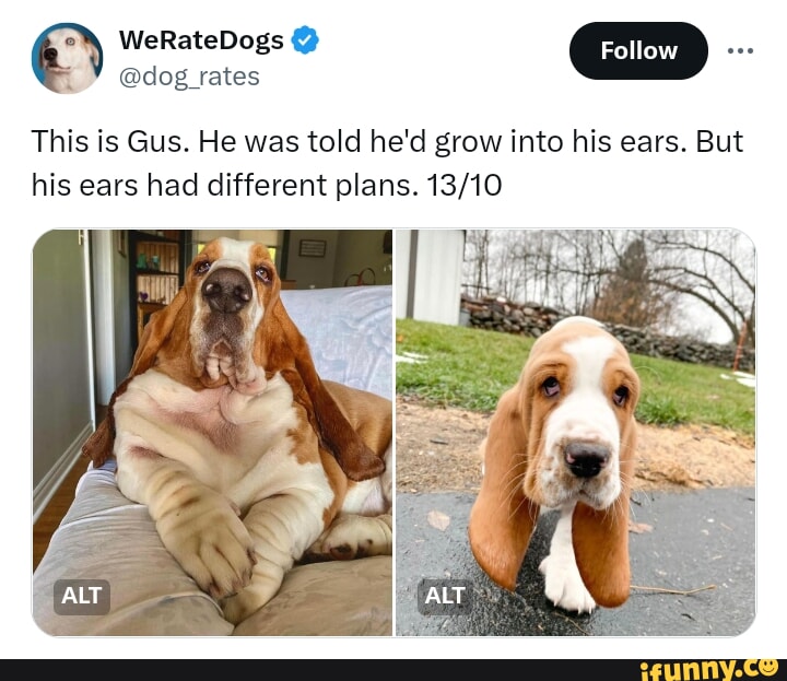 DM: At bar you see a cloaked, hunched over man. He wears a crown of ...