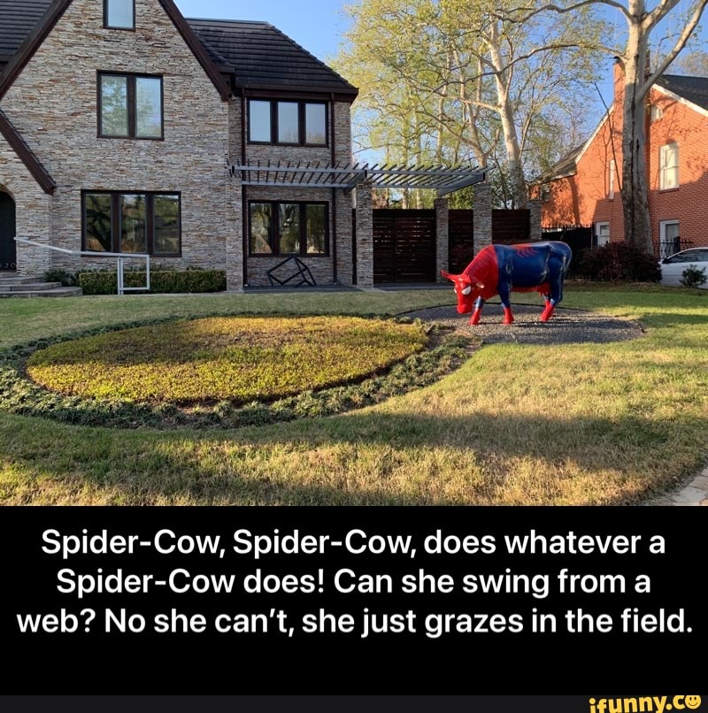 Spidercow memes. Best Collection of funny Spidercow pictures on iFunny