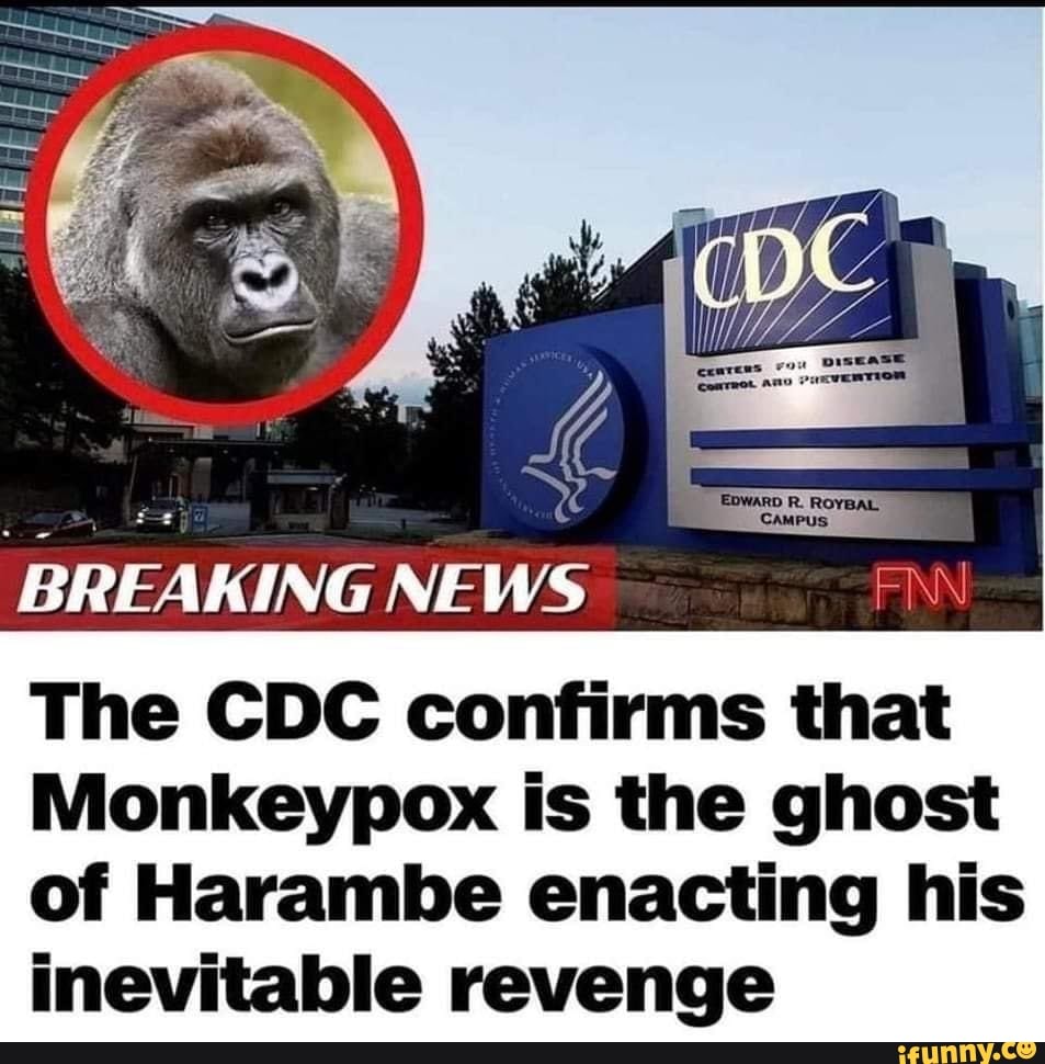 'BREAKING NEWS The CDC confirms that Monkeypox is the ghost of Harambe ...