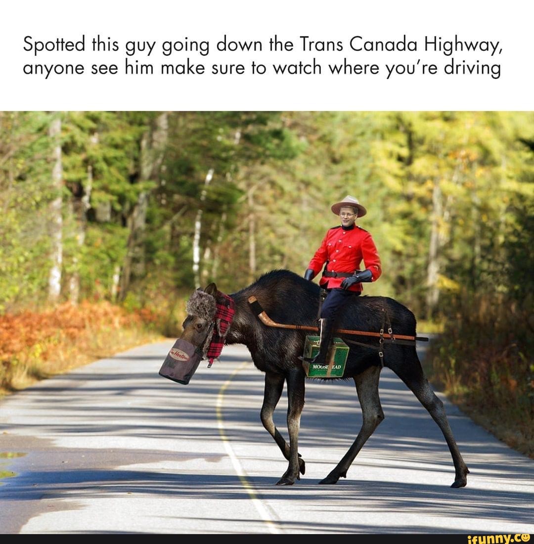Spotted this guy going down the Trans Canada Highway, anyone see him ...