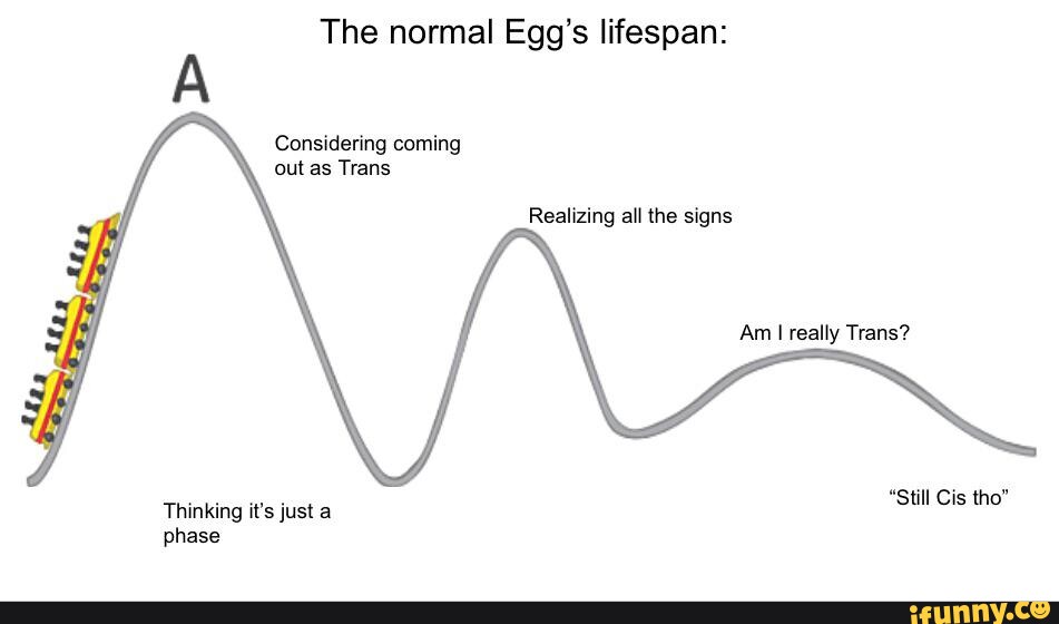 Eggirl--------- - The normal Egg's lifespan: Considering coming out as ...