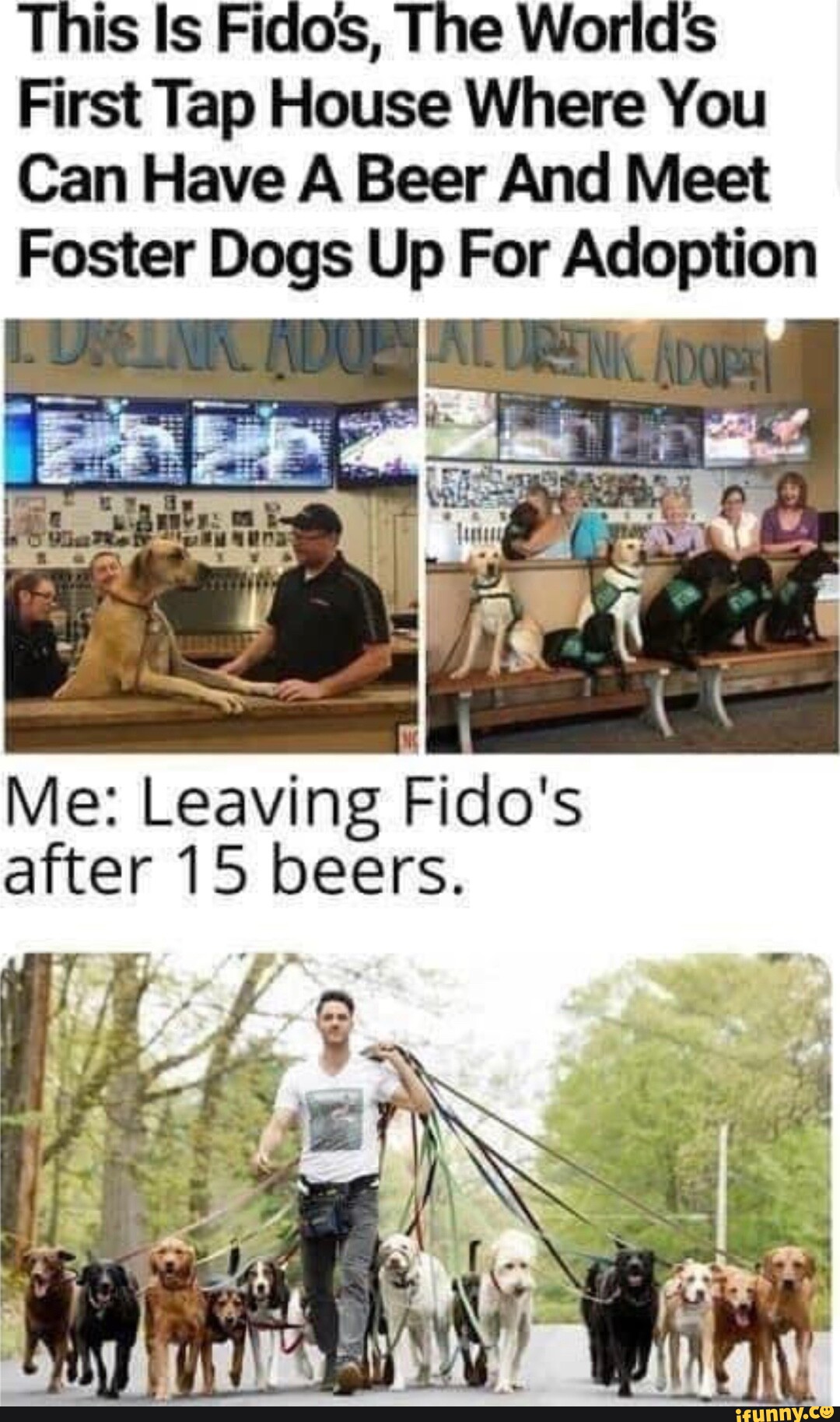 This Is Fidos, The Worlds First Tap House Where You Can Have A Beer And ...