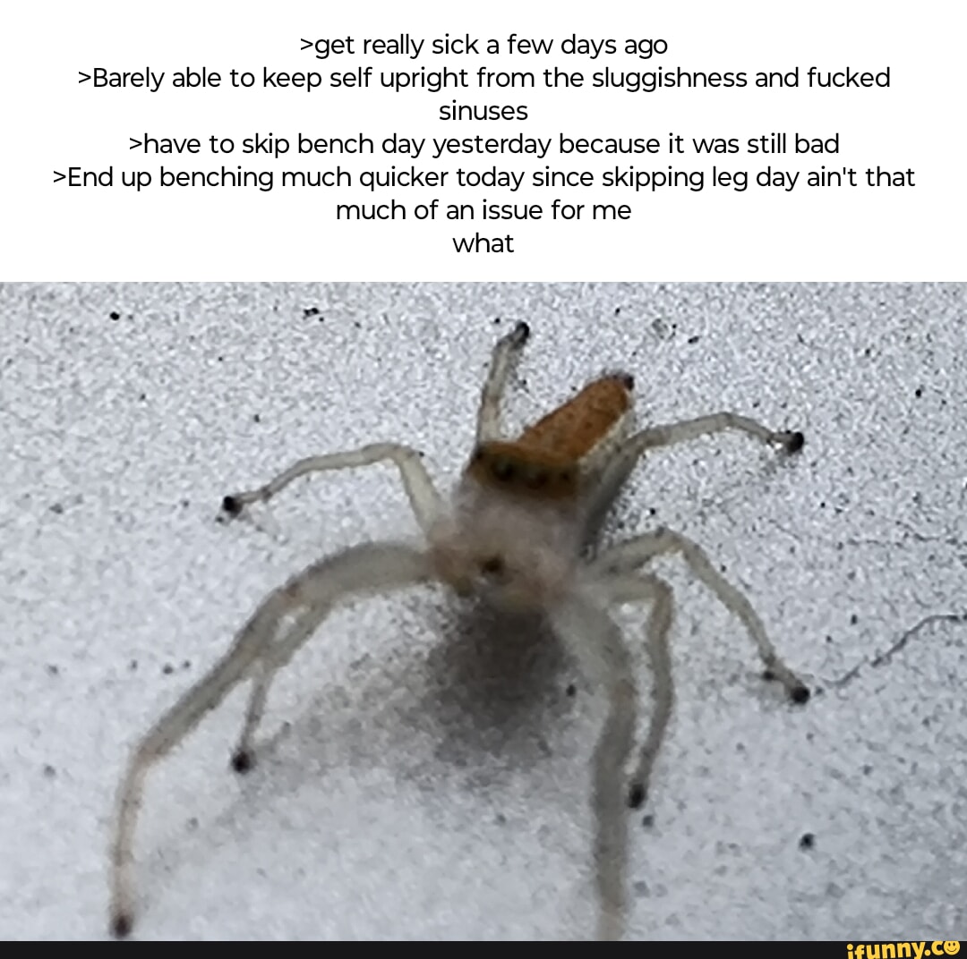 Sinuses memes. Best Collection of funny Sinuses pictures on iFunny