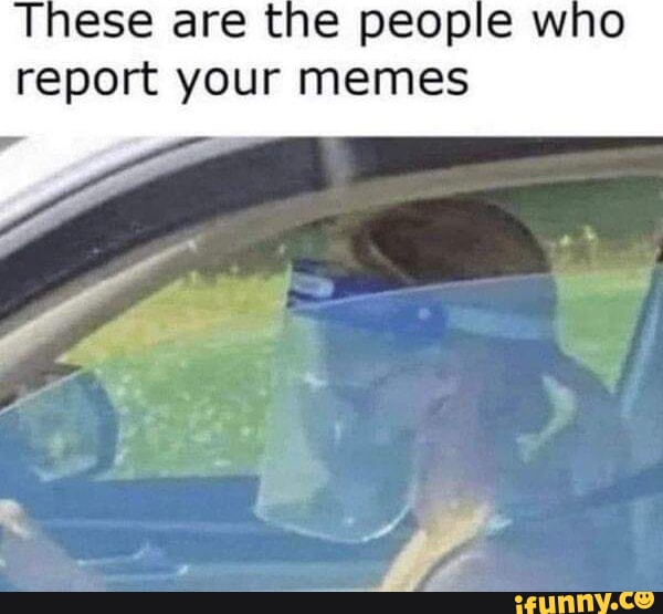 These are the people who report your memes - iFunny