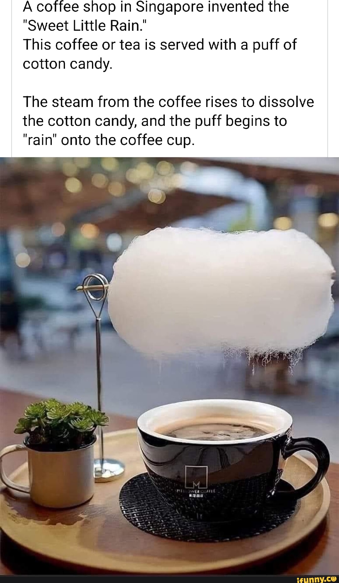 A coffee shop in Singapore invented the "Sweet Little Rain." This ...