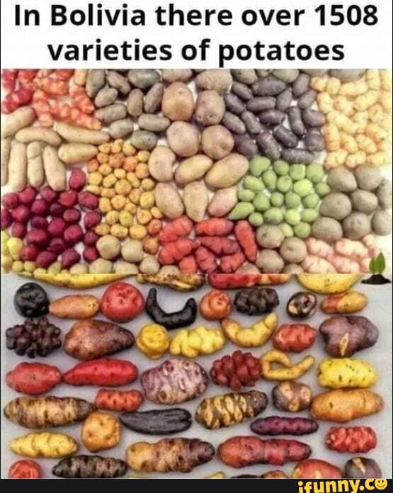 Varieties memes. Best Collection of funny Varieties pictures on iFunny