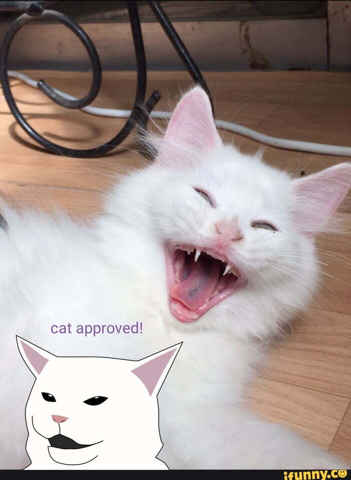 Happy_cat memes. Best Collection of funny Happy_cat pictures on iFunny