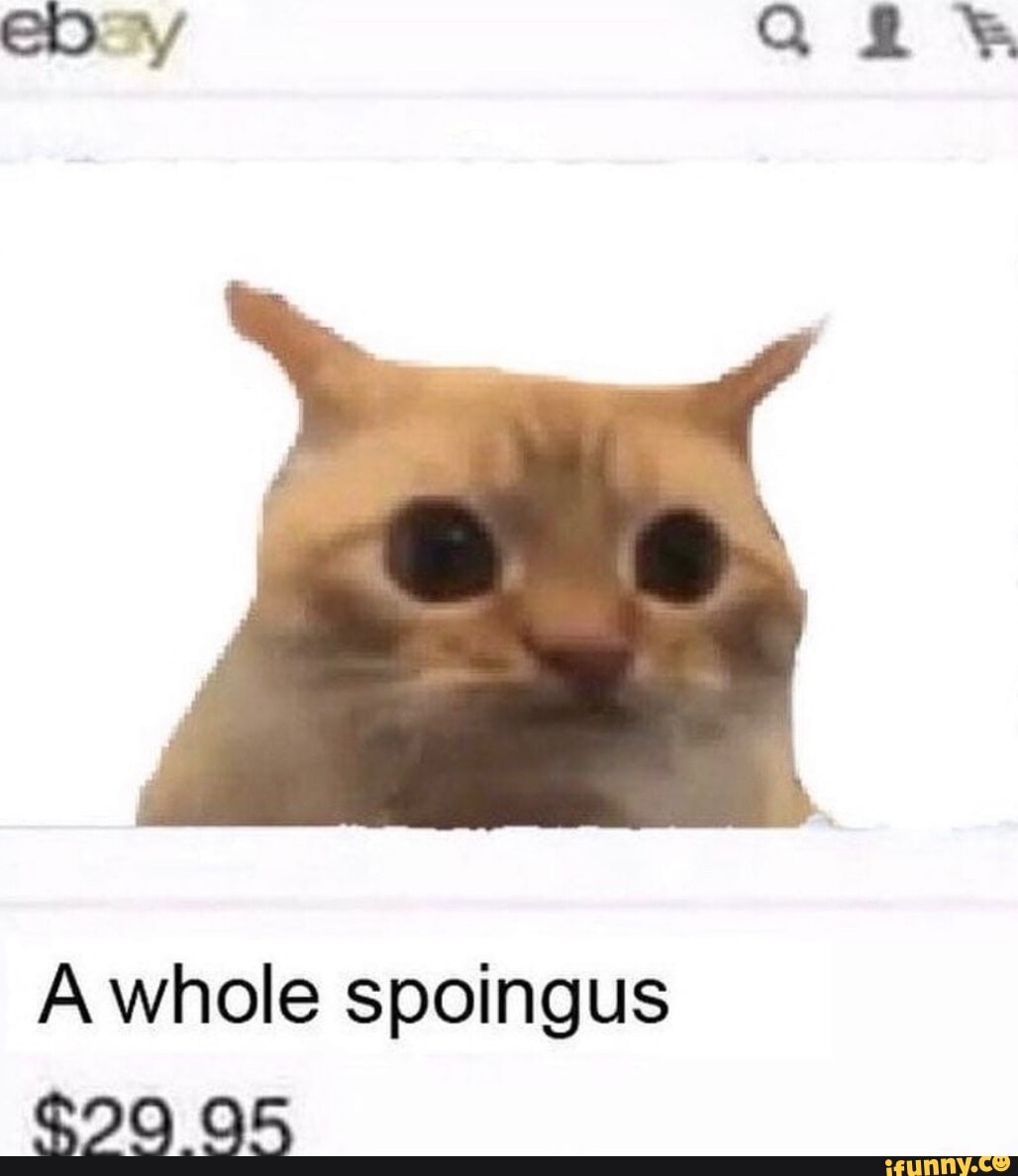 Spoingus memes. Best Collection of funny Spoingus pictures on iFunny