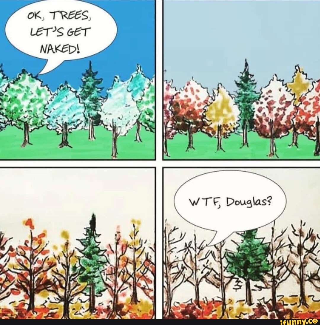 ATF Gun Classification Made Easy! Rifle" Even though it has a foregrip ...