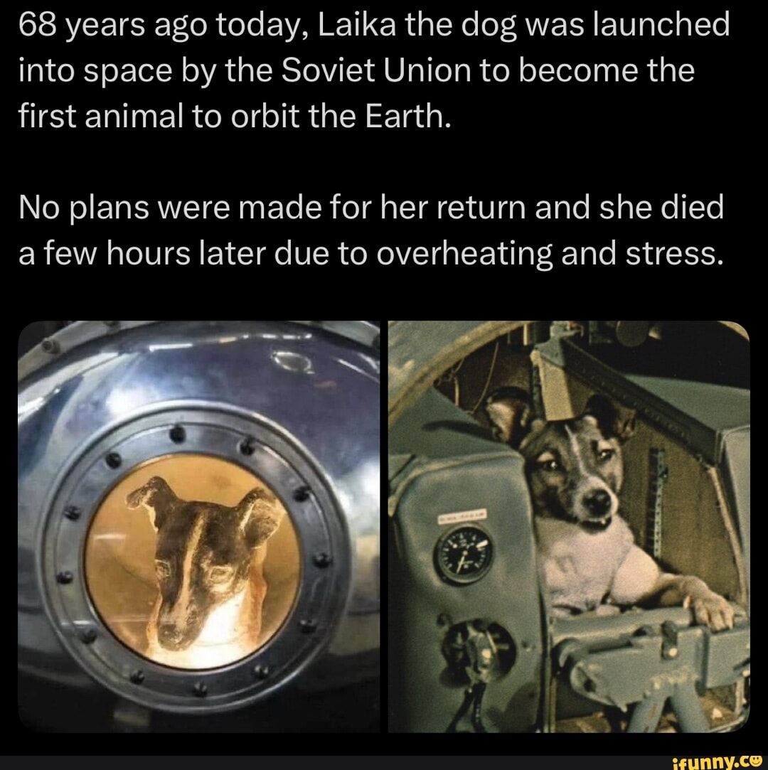 68 years ago today, Laika the dog was launched into space by the Soviet ...