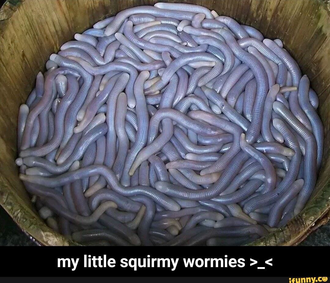 Squirmy memes. Best Collection of funny Squirmy pictures on iFunny